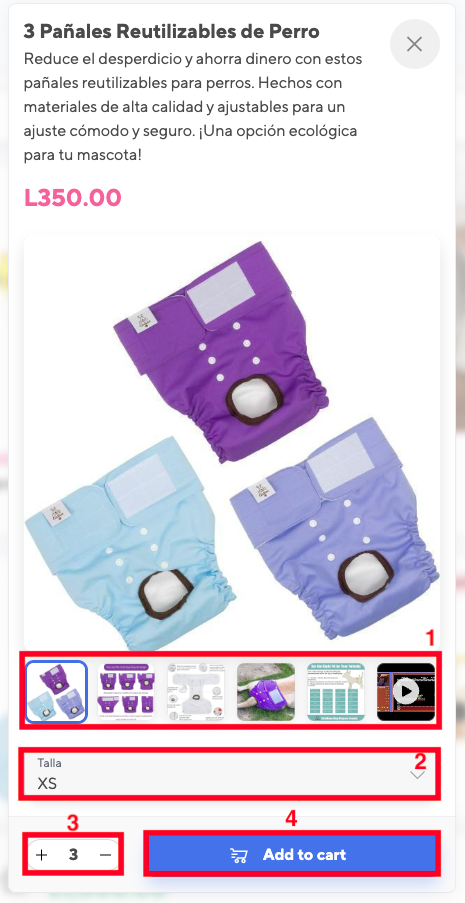 Access the Store – PixelPay